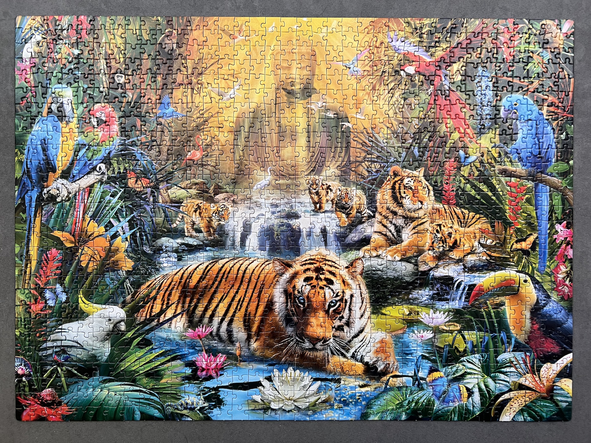 “Mystic Tigers” by Clementoni (1000 pieces) – Puzzling Beats